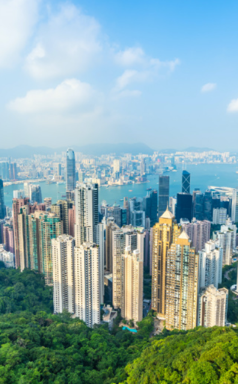 Support Our Hong Kong Foundation. Build a Better Hong Kong! | 團結香港基金 ...